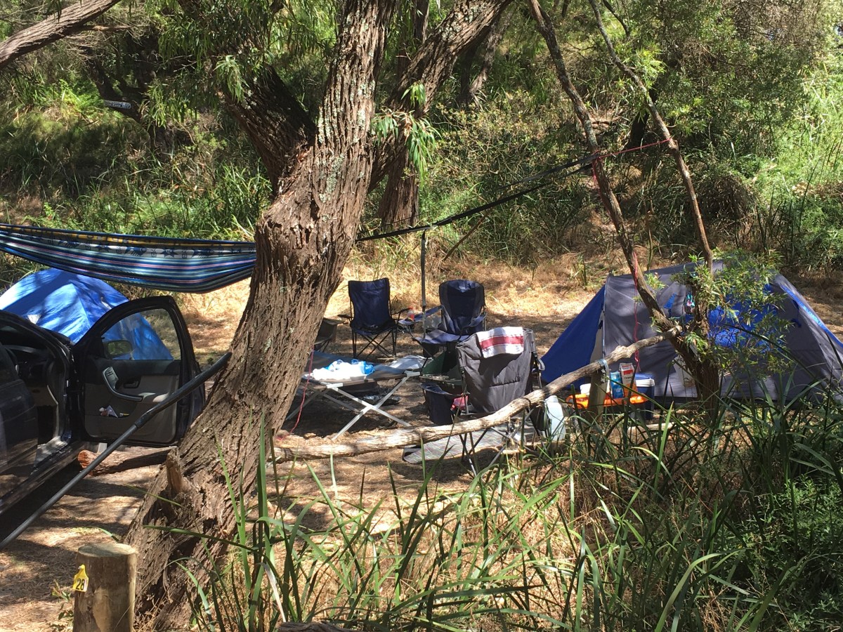 Road trip to Parry beach – choose 2 journey